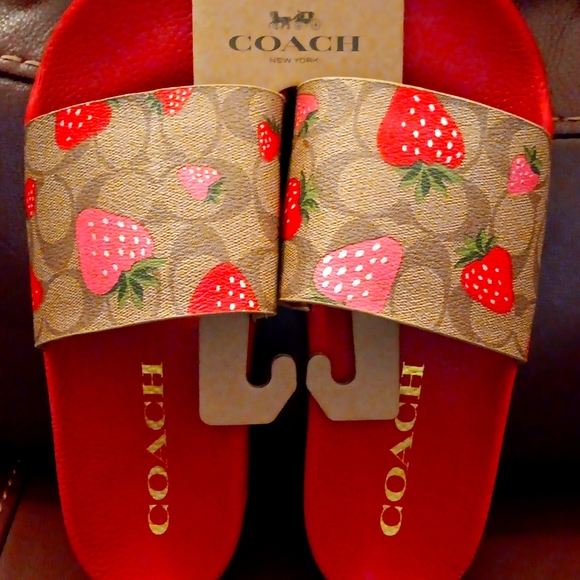 Coach | Shoes | Coach Slide | Poshmark